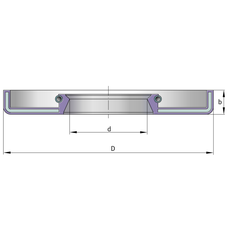 RWDR10-R-NBR-HLA INA • SP